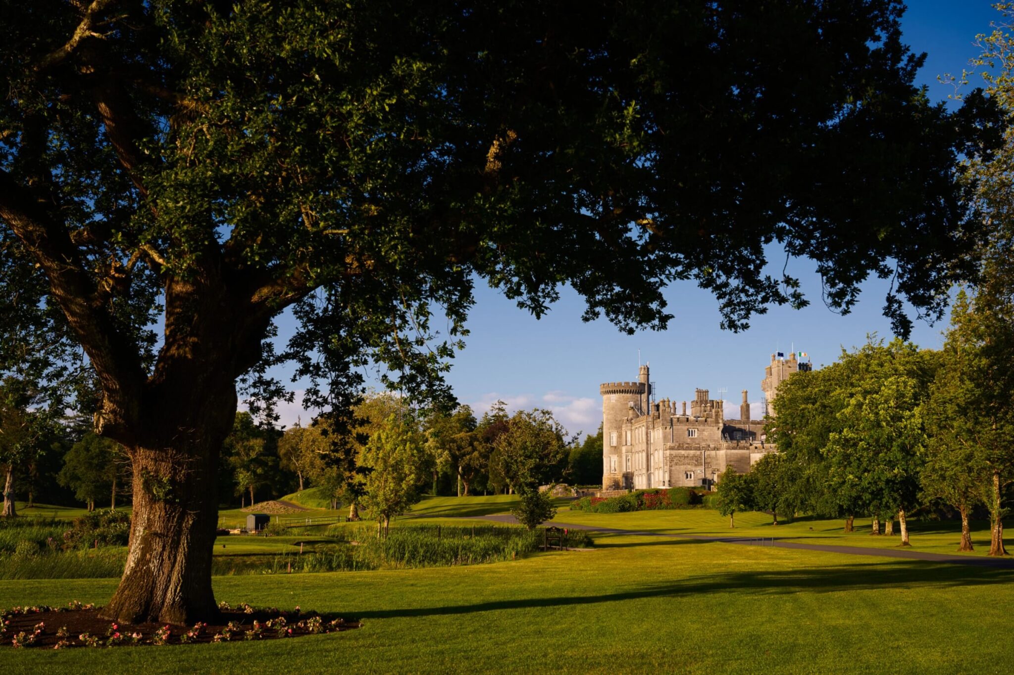 Order Ireland's Blue Book